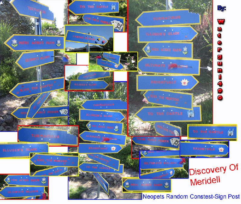 Random Contest Winners!