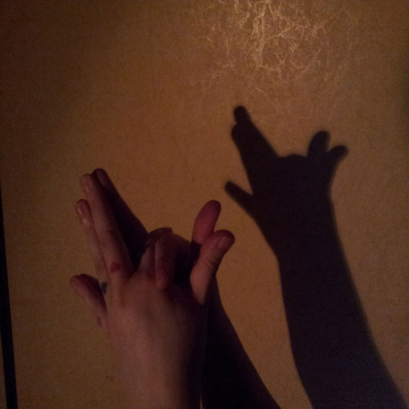 Random Contest Winners!