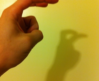 Random Contest Winners!