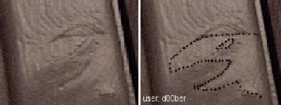 Random Contest Winners!