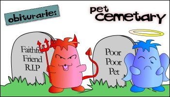 dead chia dot jpg. WHY TNT? : r/neopets