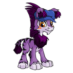 Neopets - New Features