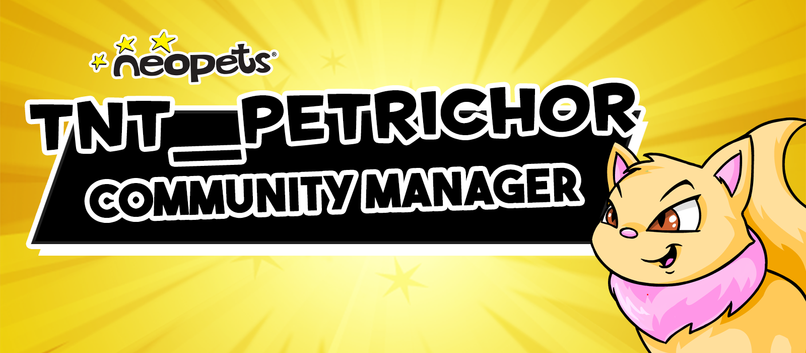 Neopets - New Features