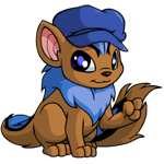 Neopets - New Features