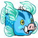 pygui_maraqua | Neopets Items