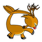 Christmas Aisha | Rainbow Pool | Neopets Wardrobe