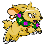 Island Cybunny | Rainbow Pool | Neopets Wardrobe