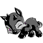 ixi_shadow_right.gif | Neopets Image Emporium