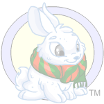Snow Cybunny | Rainbow Pool | Neopets Wardrobe