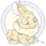 Spotted Cybunny | Rainbow Pool | Neopets Wardrobe