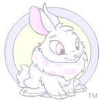 White Cybunny | Rainbow Pool | Neopets Wardrobe