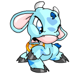 Baby Kau | Rainbow Pool | Neopets Wardrobe