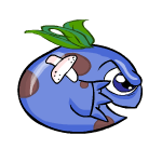 Chokato Kiko | Rainbow Pool | Neopets Wardrobe