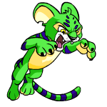 Neopets - New Features