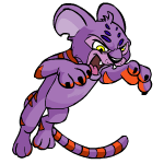 Purple Kougra | Rainbow Pool | Neopets Wardrobe