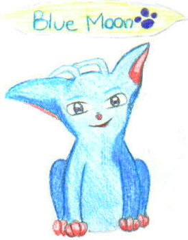 Neopets Pet Spotlight