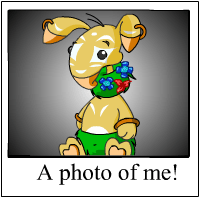 Island Blumaroo | Rainbow Pool | Neopets Wardrobe