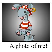 Pirate Blumaroo | Rainbow Pool | Neopets Wardrobe