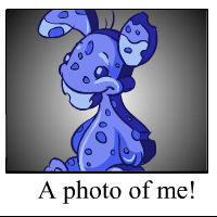 Sponge Blumaroo | Rainbow Pool | Neopets Wardrobe