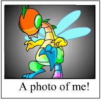 Rainbow Buzz | Rainbow Pool | Neopets Wardrobe