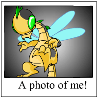 Spotted Buzz | Rainbow Pool | Neopets Wardrobe