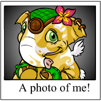 Island Elephante | Rainbow Pool | Neopets Wardrobe