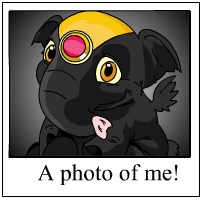 Shadow Elephante | Rainbow Pool | Neopets Wardrobe