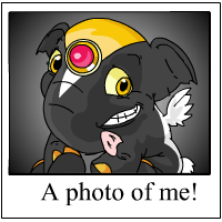 Skunk Elephante | Rainbow Pool | Neopets Wardrobe