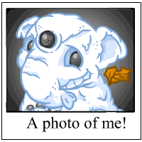 Snow Elephante | Rainbow Pool | Neopets Wardrobe