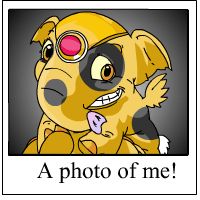 Spotted Elephante | Rainbow Pool | Neopets Wardrobe