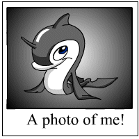 Skunk Flotsam | Rainbow Pool | Neopets Wardrobe