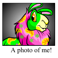 Disco Gnorbu | Rainbow Pool | Neopets Wardrobe