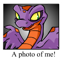 Purple Hissi | Rainbow Pool | Neopets Wardrobe