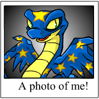 Starry Hissi | Rainbow Pool | Neopets Wardrobe