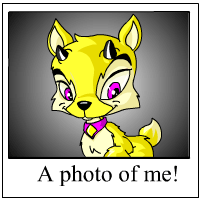 Yellow Ixi | Rainbow Pool | Neopets Wardrobe