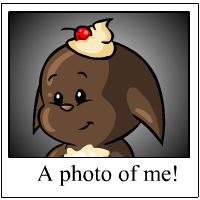 Chocolate Kacheek | Rainbow Pool | Neopets Wardrobe