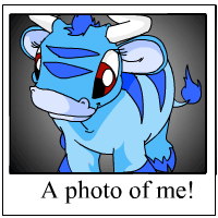 Blue Kau | Rainbow Pool | Neopets Wardrobe