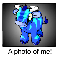 Electric Kau | Rainbow Pool | Neopets Wardrobe