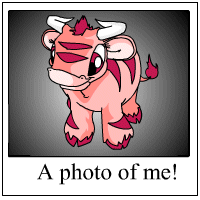 kau_pink_me.gif | Neopets Image Emporium