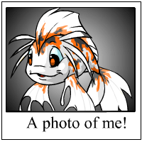 Spotted Koi | Rainbow Pool | Neopets Wardrobe