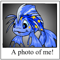 Starry Koi | Rainbow Pool | Neopets Wardrobe