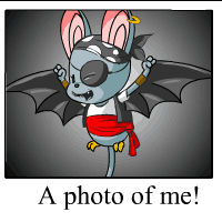 Pirate Korbat | Rainbow Pool | Neopets Wardrobe