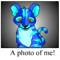 Electric Kougra | Rainbow Pool | Neopets Wardrobe