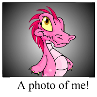 krawk_pink_me.gif | Neopets Image Emporium
