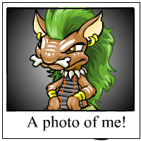 Island Kyrii | Rainbow Pool | Neopets Wardrobe