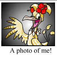 Island Lenny | Rainbow Pool | Neopets Wardrobe