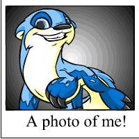 Blue Lutari | Rainbow Pool | Neopets Wardrobe