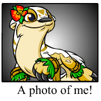 Island Lutari | Rainbow Pool | Neopets Wardrobe