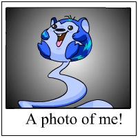 Electric Meerca | Rainbow Pool | Neopets Wardrobe