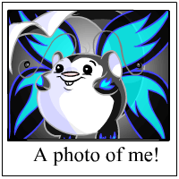 Faerie Meerca | Rainbow Pool | Neopets Wardrobe